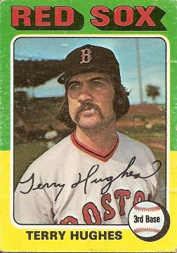 Terry Hughes | Cardboard Gods