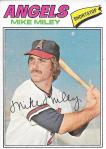 Mike Miley | Cardboard Gods